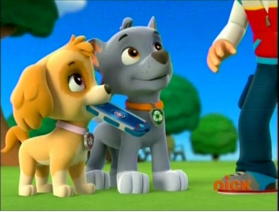 Rocky/Gallery/Pups Save Ryder | PAW Patrol Wiki | Fandom