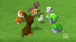 Pups Save Baby Humdinger/Gallery | PAW Patrol Wiki | Fandom