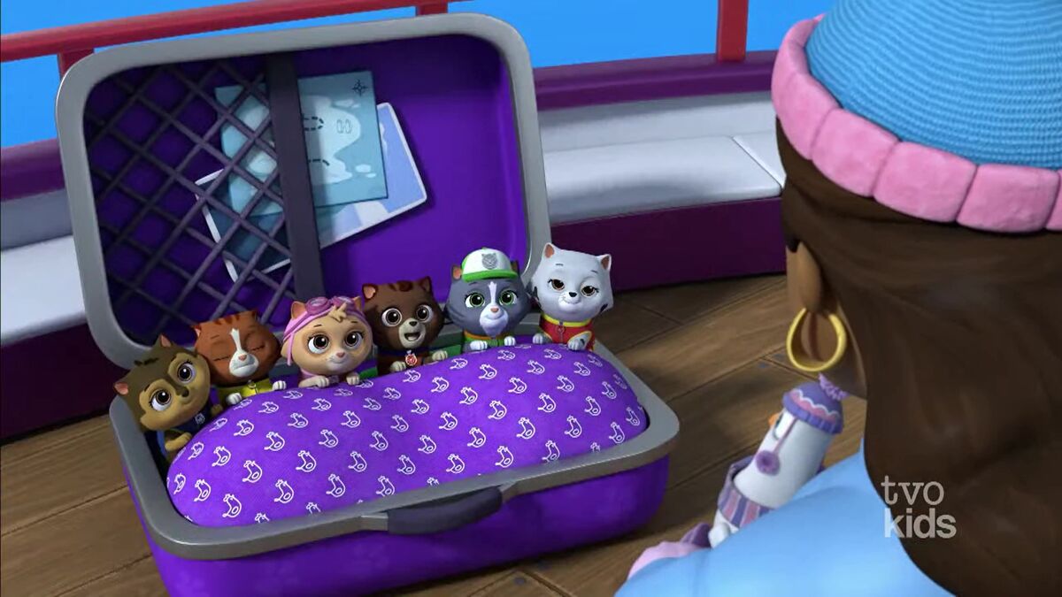 Cat Zumagallerypups Save The Treasure Cruise Paw Patrol Wiki Fandom