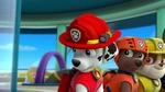 Marshall/Gallery/Pups Save a Bat | PAW Patrol Wiki | Fandom