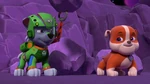 Rubble-Double/Gallery/Pups Save a Rubble-Double | PAW Patrol Wiki | Fandom