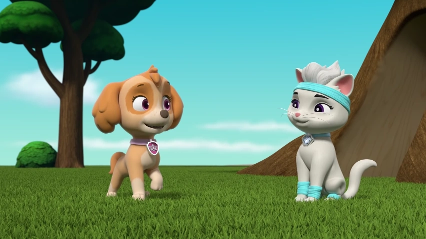 Rory/Appearances | PAW Patrol Wiki | Fandom