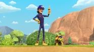 Speed Meister | PAW Patrol Wiki | Fandom