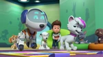Roxi/Gallery/Rescue Wheels: Pups Save the Teetering Tower | PAW Patrol ...