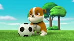 Pups Save the Soccer Game/Gallery | PAW Patrol Wiki | Fandom