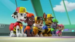 Sea Patroller | PAW Patrol Wiki | Fandom