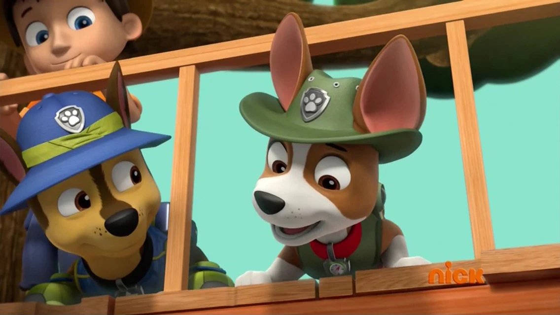 Chase/Gallery/Parroting Pups | PAW Patrol Wiki | Fandom