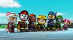 Wild/Gallery/Moto Pups: Pups vs. the Ruff-Ruff Pack | PAW Patrol Wiki ...