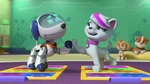 Roxi/Gallery/Rescue Wheels: Pups Save the Teetering Tower | PAW Patrol ...