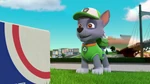 Rocky/Gallery/Pups Save a Runaway Rooster | PAW Patrol Wiki | Fandom