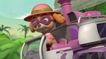 Skye/Gallery/Pups Save a Flamingo Dancer | PAW Patrol Wiki | Fandom