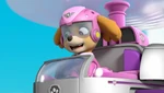 Skye/Gallery/Pups Save Ms. Marjorie's House | PAW Patrol Wiki | Fandom