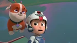 Rubble-Double/Gallery/Pups Save a Rubble-Double | PAW Patrol Wiki | Fandom