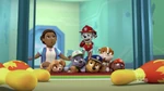 Pups Rescue a Rescuer/Gallery | PAW Patrol Wiki | Fandom