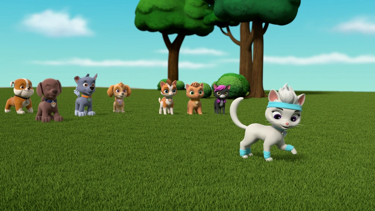 Shade/Gallery/Cat Pack: Saving the Safe | PAW Patrol Wiki | Fandom