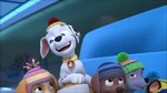 Skye/Gallery/Pups Save Great Uncle Smiley's Cup | PAW Patrol Wiki | Fandom