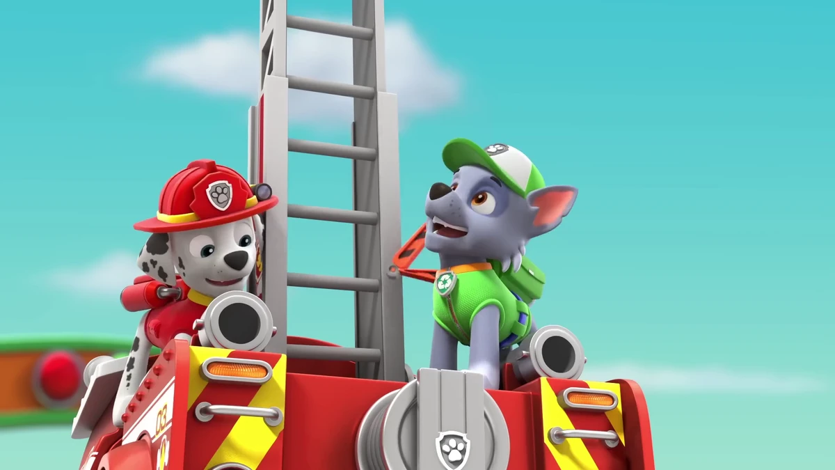 Rocky Extends Marshall's Ladder/Quotes | PAW Patrol Wiki | Fandom