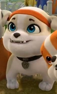 Auntie Crane | PAW Patrol Wiki | Fandom