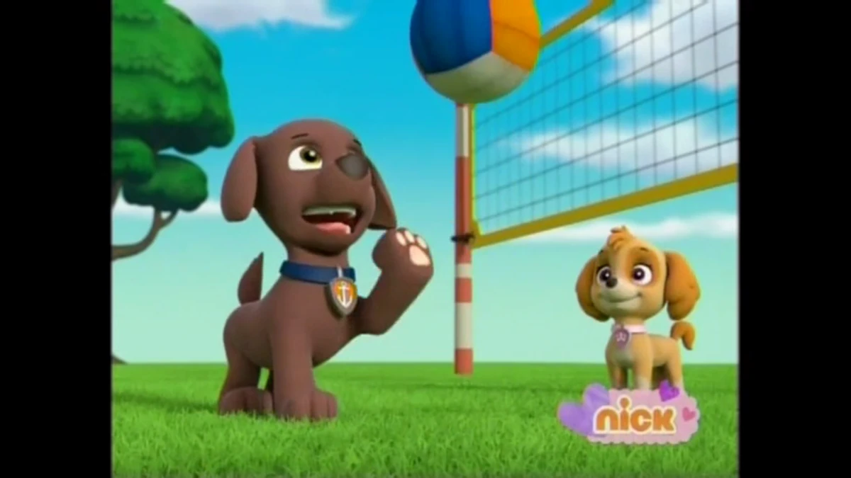 Skye/Gallery/Pups Save a Friend | PAW Patrol Wiki | Fandom