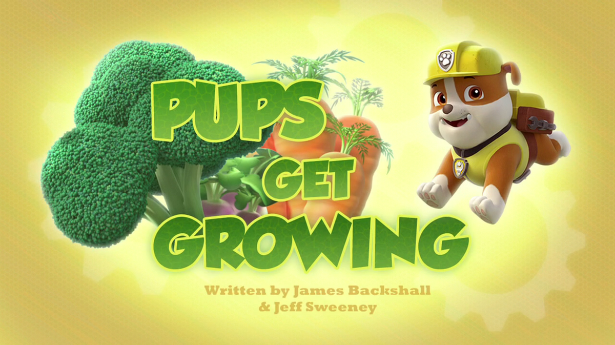 Pups Get Growing Paw Patrol Wiki Fandom