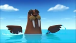 Wally/Gallery/Pups Save a Walrus | PAW Patrol Wiki | Fandom