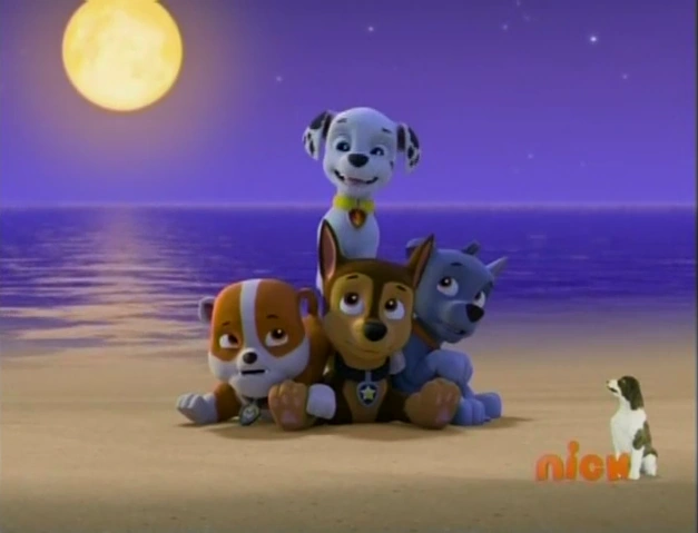 Rubble/Gallery/Pups Save a Mer-Pup | PAW Patrol Wiki | Fandom