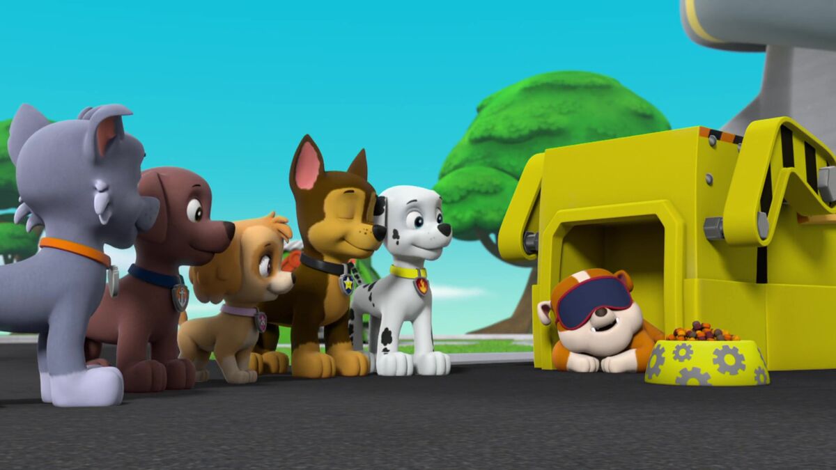Skye Gallery Pups Save Breakfast Paw Patrol Wiki Fandom