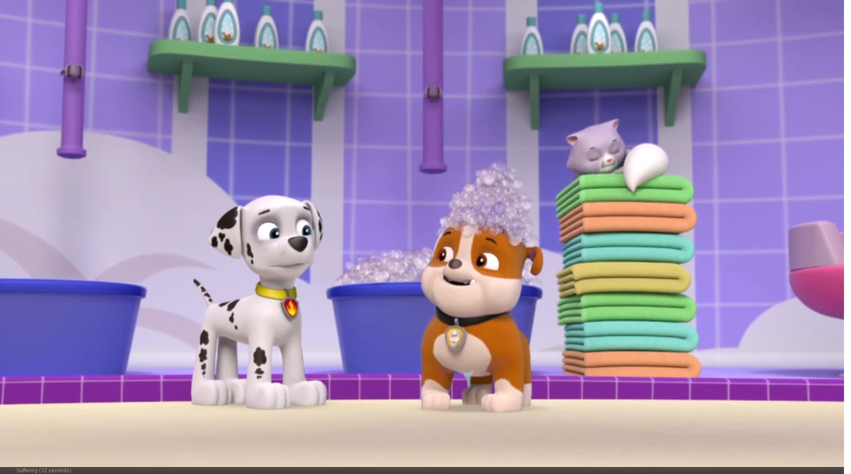 Cali/Gallery/Pup-Tacular | PAW Patrol Wiki | Fandom