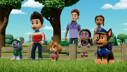 Pups Save the Super Cows/Quotes | PAW Patrol Wiki | Fandom