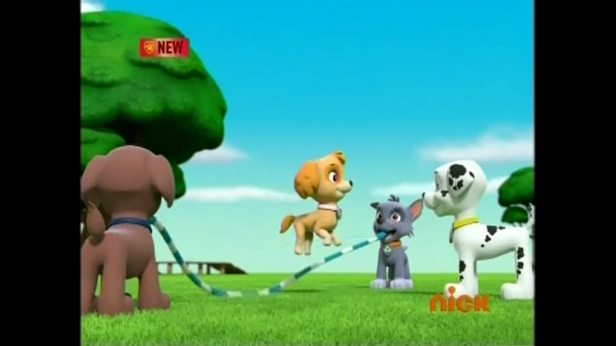 Marshall/Gallery/Pups Save a Surprise | PAW Patrol Wiki | Fandom