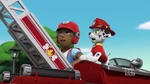 Pups Rescue a Rescuer/Gallery | PAW Patrol Wiki | Fandom