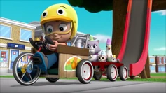 Mini Patrol | PAW Patrol Wiki | Fandom