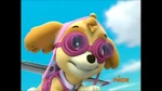 Skye/Gallery/Pups Save a Flying Frog | PAW Patrol Wiki | Fandom