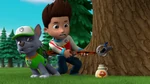 Rocky/Gallery/Pups Save Breakfast | PAW Patrol Wiki | Fandom