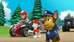 Pups Save Jake's Cake/Gallery | PAW Patrol Wiki | Fandom