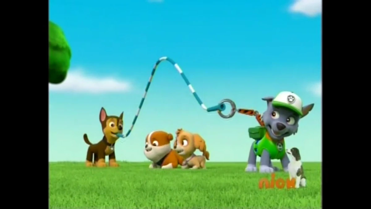 Skye/Gallery/Pups and the Mischievous Kittens | PAW Patrol Wiki | Fandom