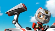 Wild | PAW Patrol Wiki | Fandom