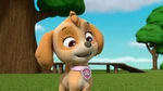 Skye/Gallery/Dino Rescue: Pups Save a T-Rex Tyke | PAW Patrol Wiki | Fandom