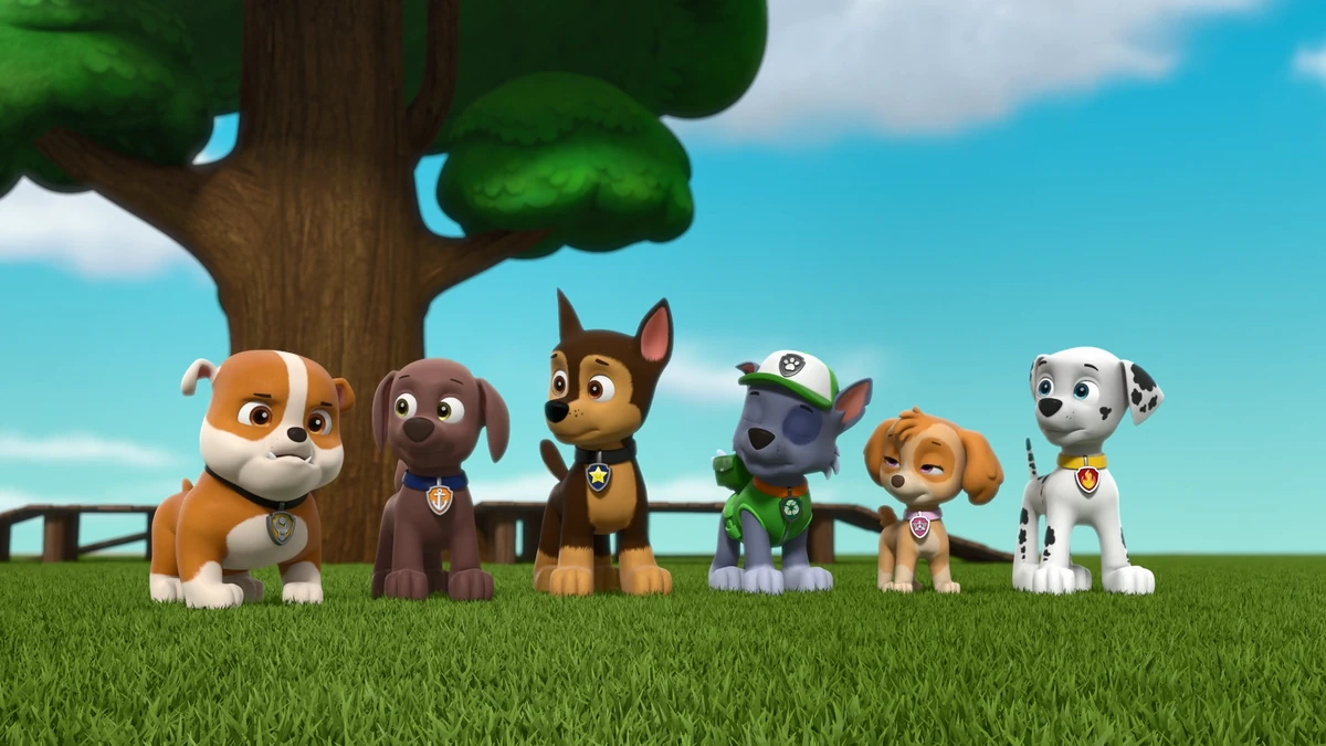 Skye/Gallery/Pups Save a Hum-ñata | PAW Patrol Wiki | Fandom
