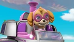Skye/Gallery/Pups Save Thanksgiving | PAW Patrol Wiki | Fandom