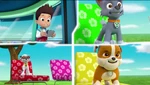 Pups Save Alex's Mini-Patrol/Gallery | PAW Patrol Wiki | Fandom