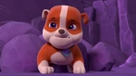 Rubble-Double/Gallery/Pups Save a Rubble-Double | PAW Patrol Wiki | Fandom