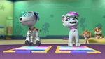 Roxi/Gallery/Rescue Wheels: Pups Save the Teetering Tower | PAW Patrol ...