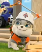 Auntie Crane | PAW Patrol Wiki | Fandom