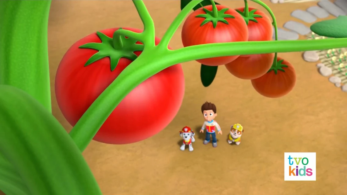 Pups Get Growing/Trivia | PAW Patrol Wiki | Fandom