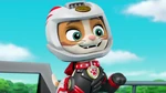 Wild/Gallery/Moto Pups: Pups vs. the Ruff-Ruff Pack | PAW Patrol Wiki ...