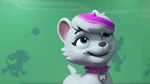 Roxi/Gallery/Rescue Wheels: Pups Save the Teetering Tower | PAW Patrol ...