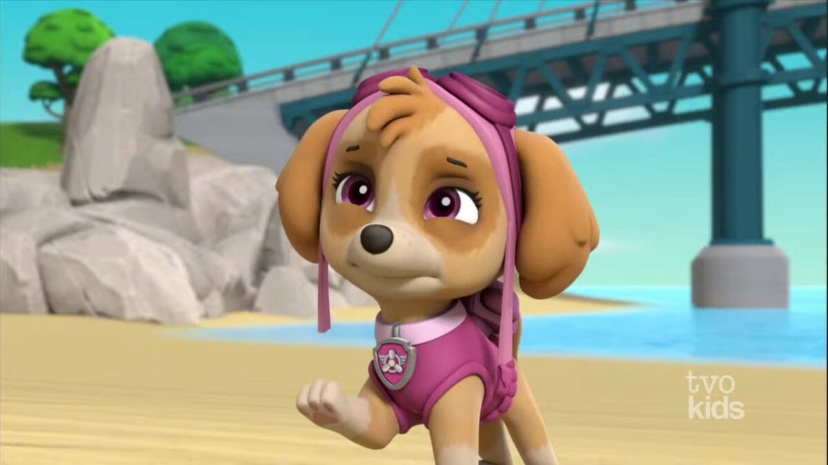 Skye Gallery Pups Save A Trash Dinger Paw Patrol Wiki Fandom