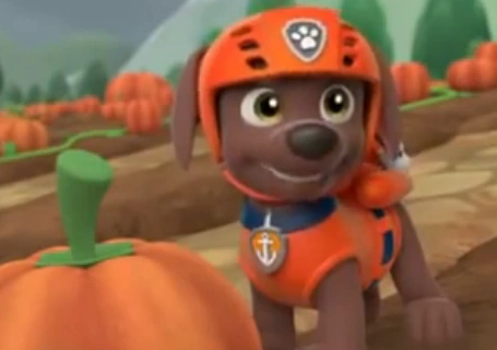 Zuma/Gallery/Pups Fall Festival | PAW Patrol Wiki | Fandom