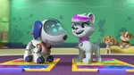 Roxi/Gallery/Rescue Wheels: Pups Save the Teetering Tower | PAW Patrol ...